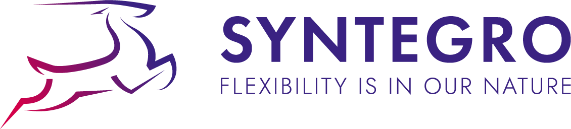 Syntegro - Ekonomika