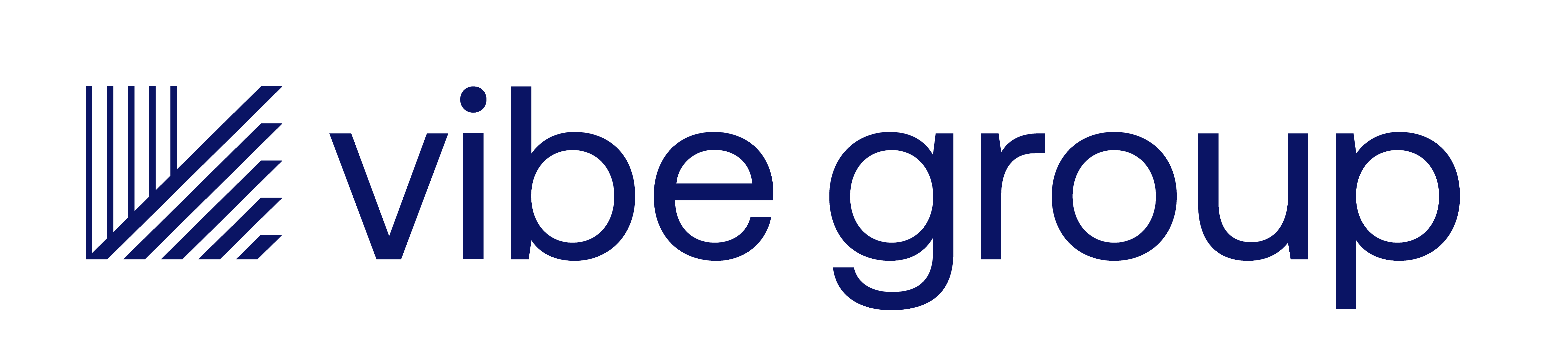 Vibe Group - Ekonomika