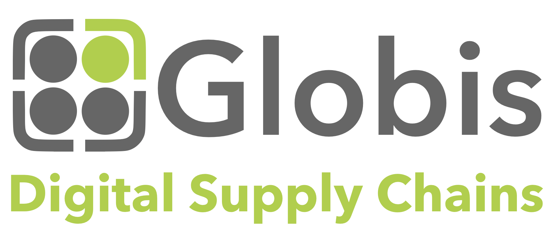 Globis Software - Ekonomika